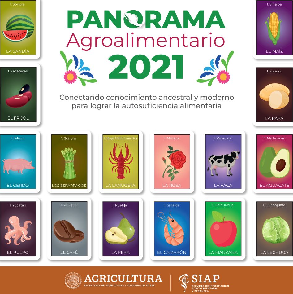 Infografía – Agave Tequilero 2021 – Fidesur